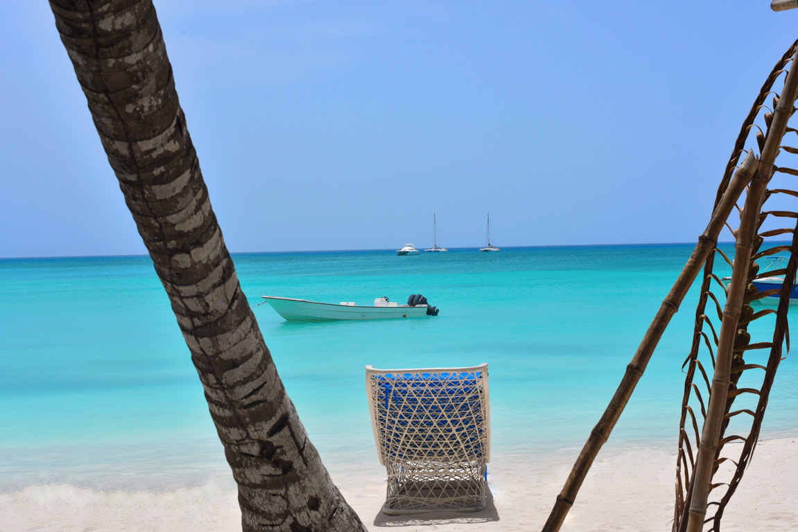 Tour Saona Island, all inclusive, Catamaran an and Speed Boat, Daily ...